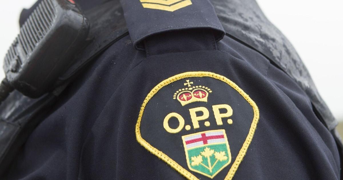 Guelph Man Charged In Alleged Assault In Wellington North 0164