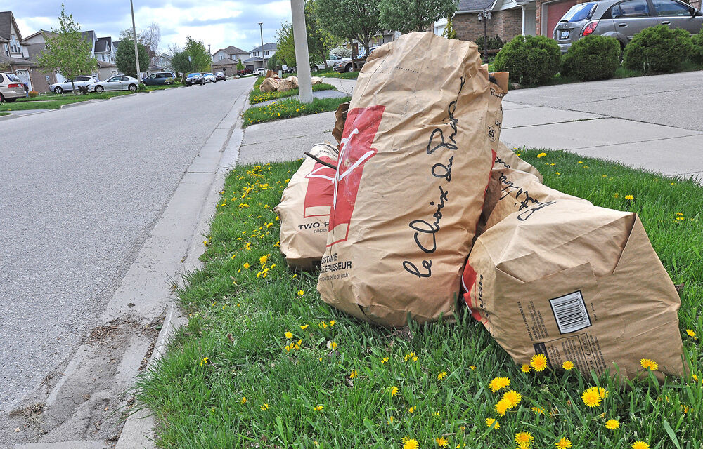 Major overhaul proposed for Guelph’s yard waste collection