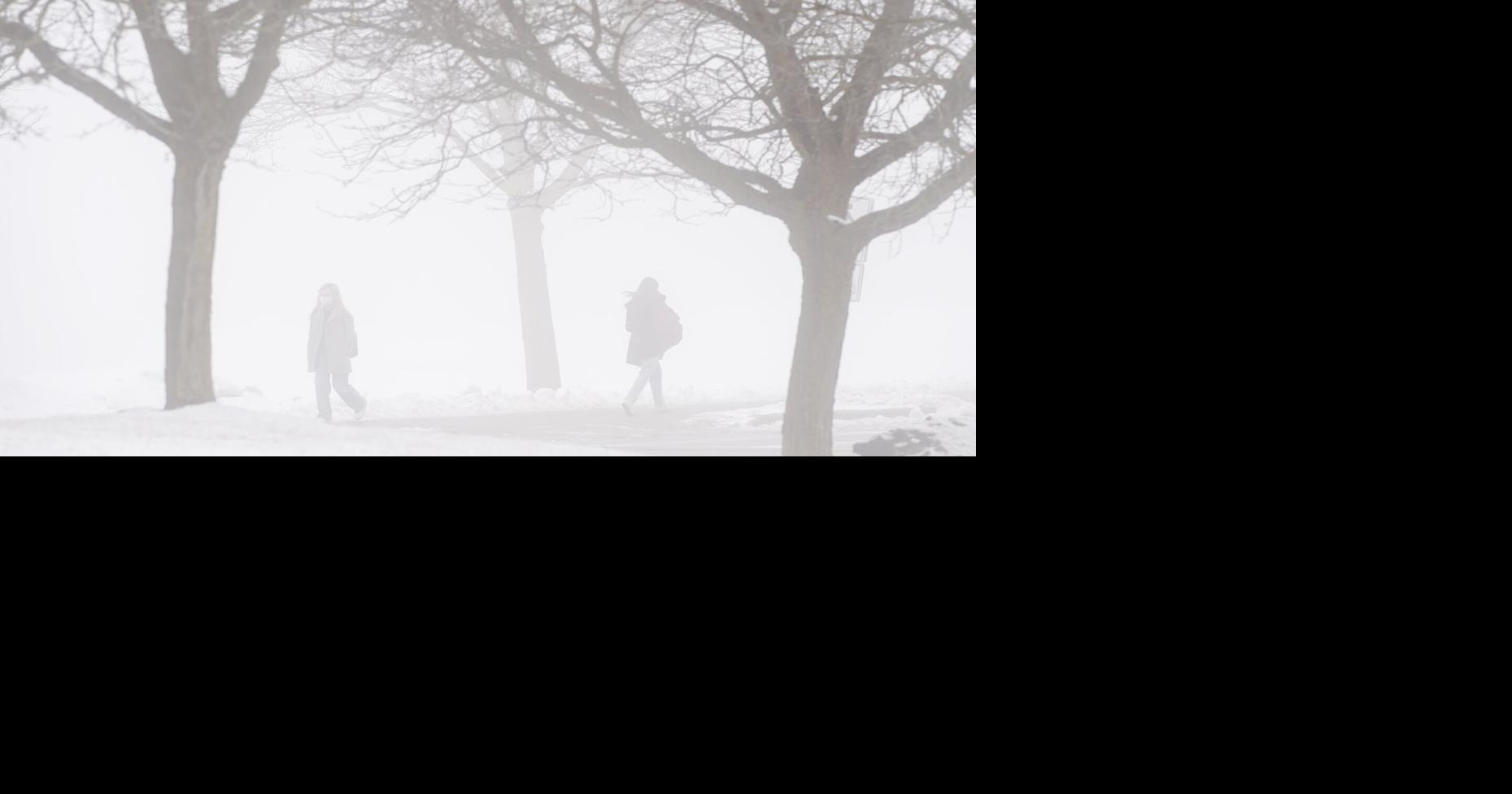 Possible 'near zero' visibility with fog moving into Guelph, Waterloo ...