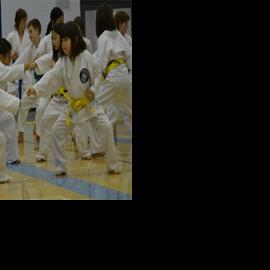 Tri-City Martial Arts – How seeing “the big picture” helps create well ...
