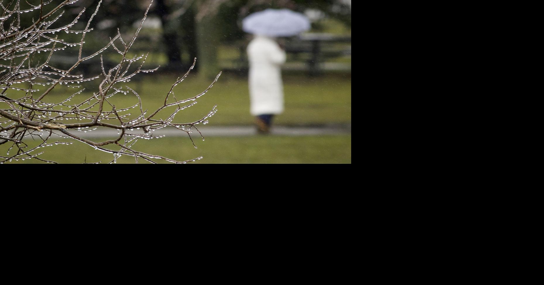 Freezing rain warning issued for Guelph