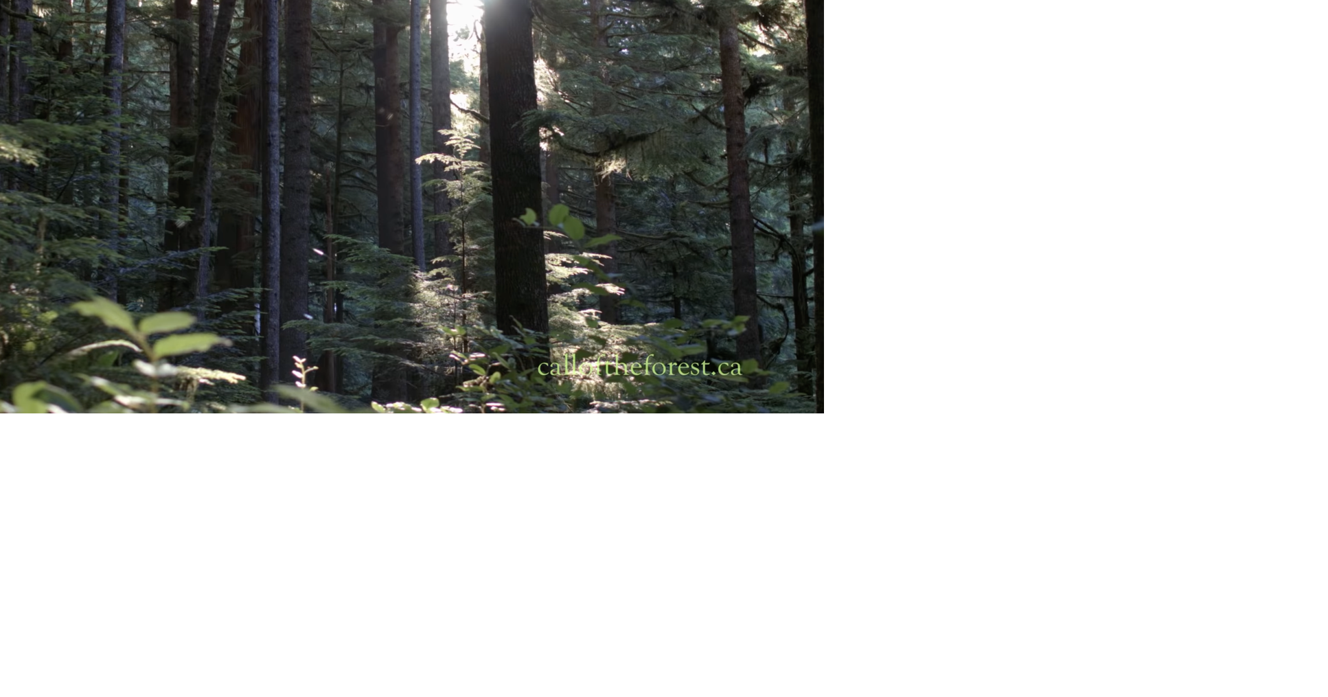 See ‘Call of the Forest’ at Bookshelf movie night in Guelph