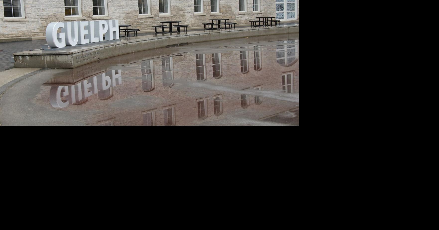 Summer camp registration starts Feb. 12 in Guelph