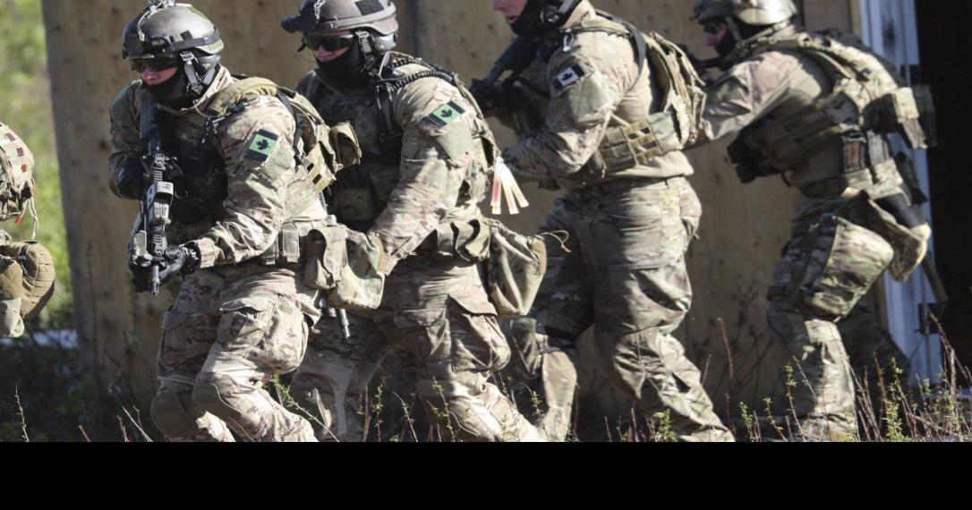 Canadian Armed Forces will use Guelph jail lands for training starting ...