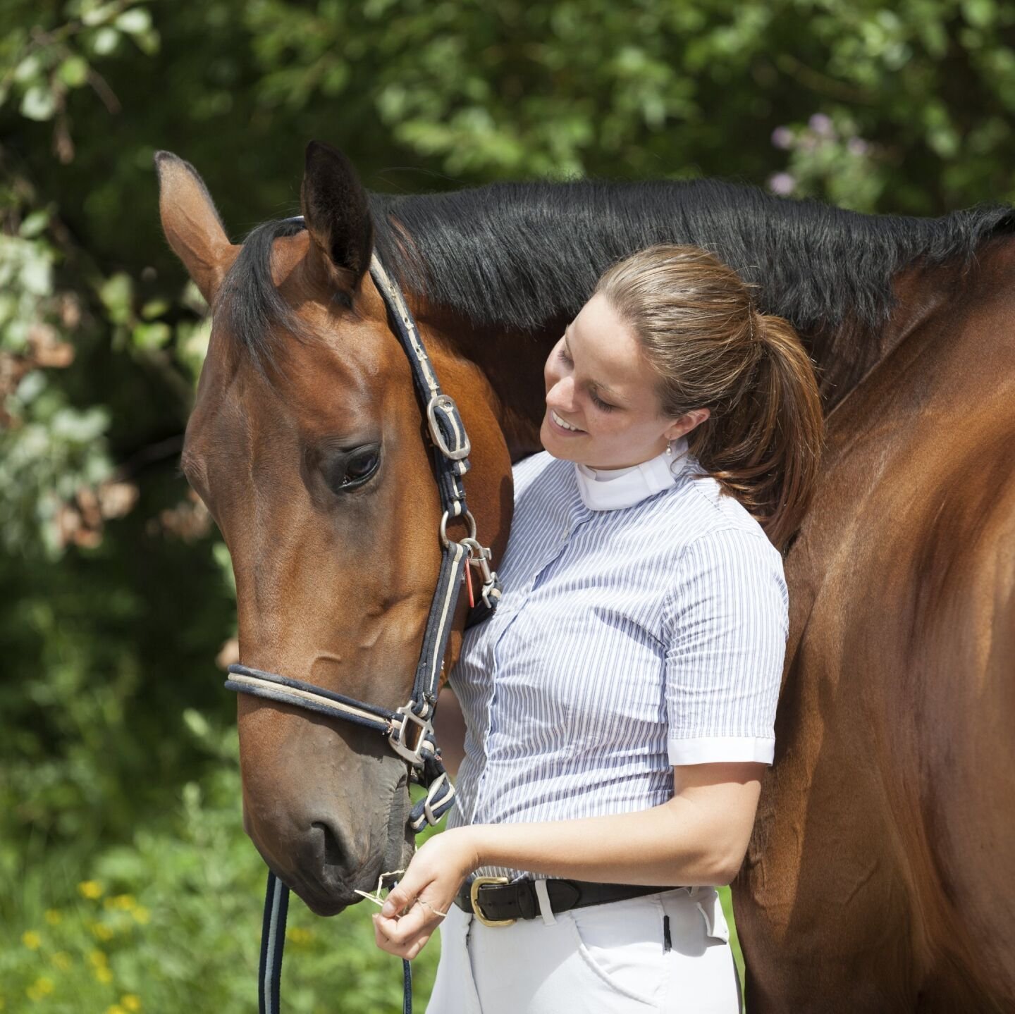 Equine Guelph has a free horse course to kick-start skills