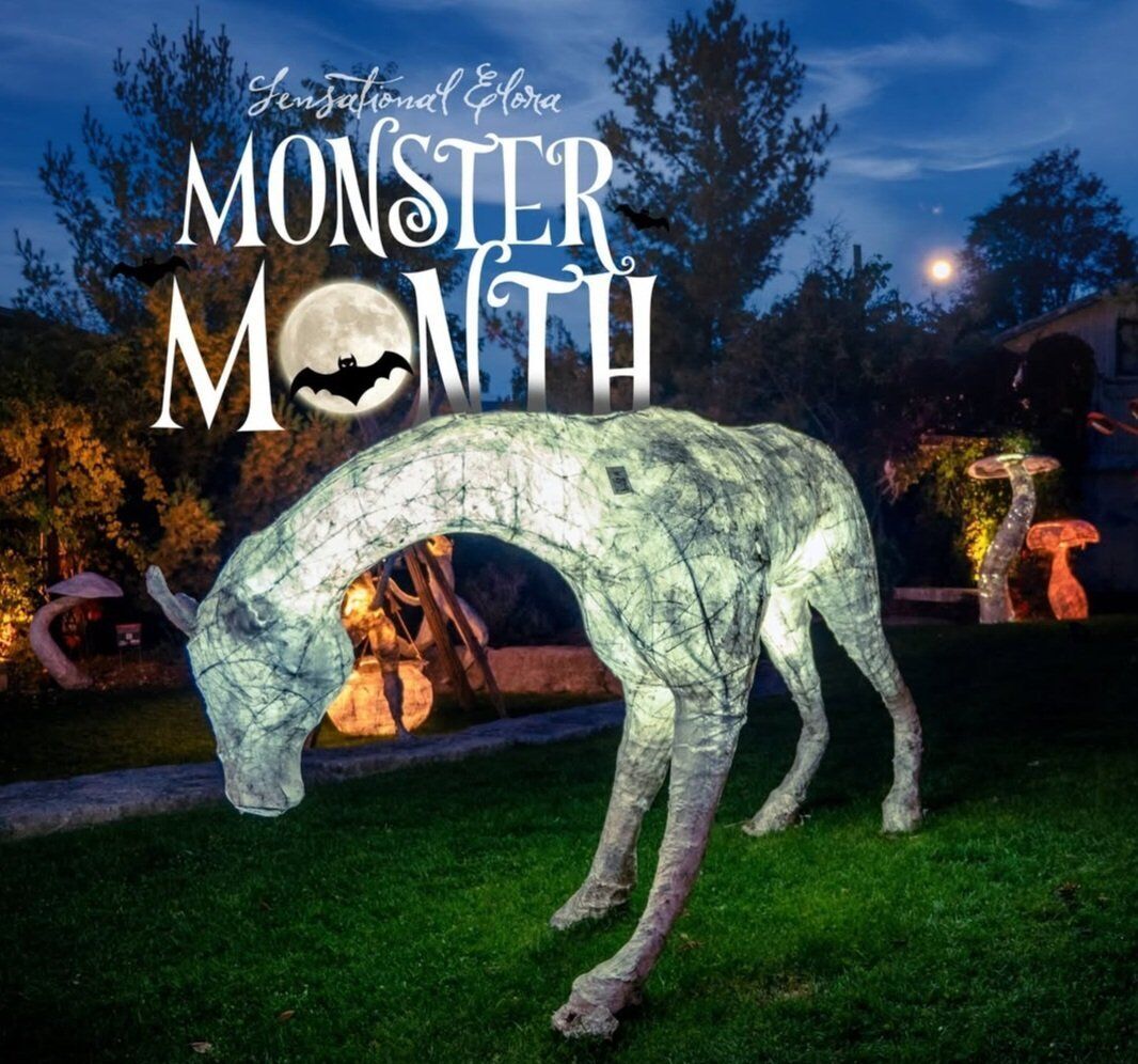 Do you want to pitch in for Elora’s Monster Month?