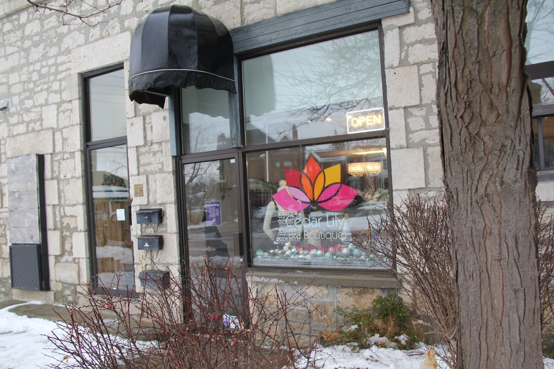 Let’s shop at Cedar Lily Bra Boutique in Guelph