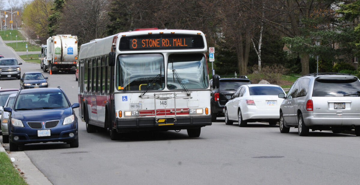 Guelph Transit continues to improve: staff report