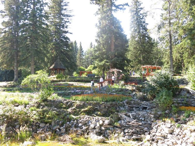 After 79 years, the Cascades of Time Gardens a delight for flora fans