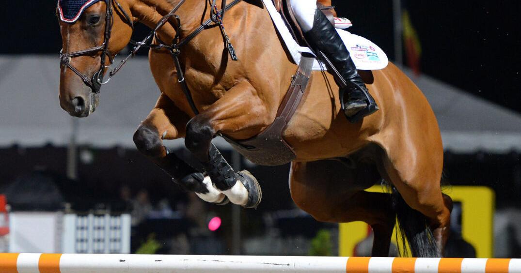 Erin’s Angelstone changing the horse-jumping landscape