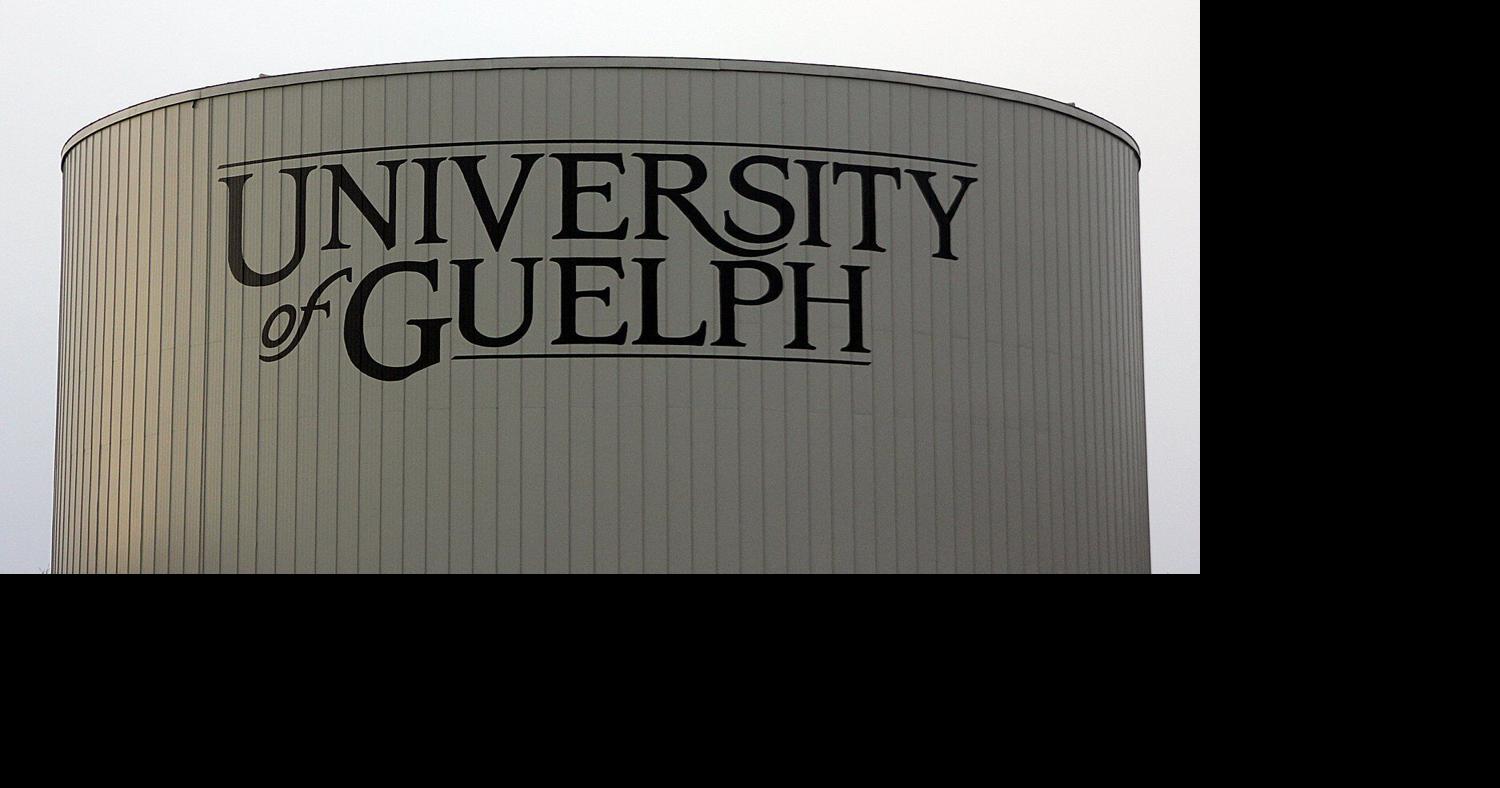 U of G announces added supports and services for fall 2024