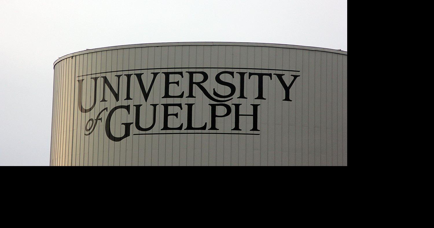 Guelph Lab initiative renewed for another three years