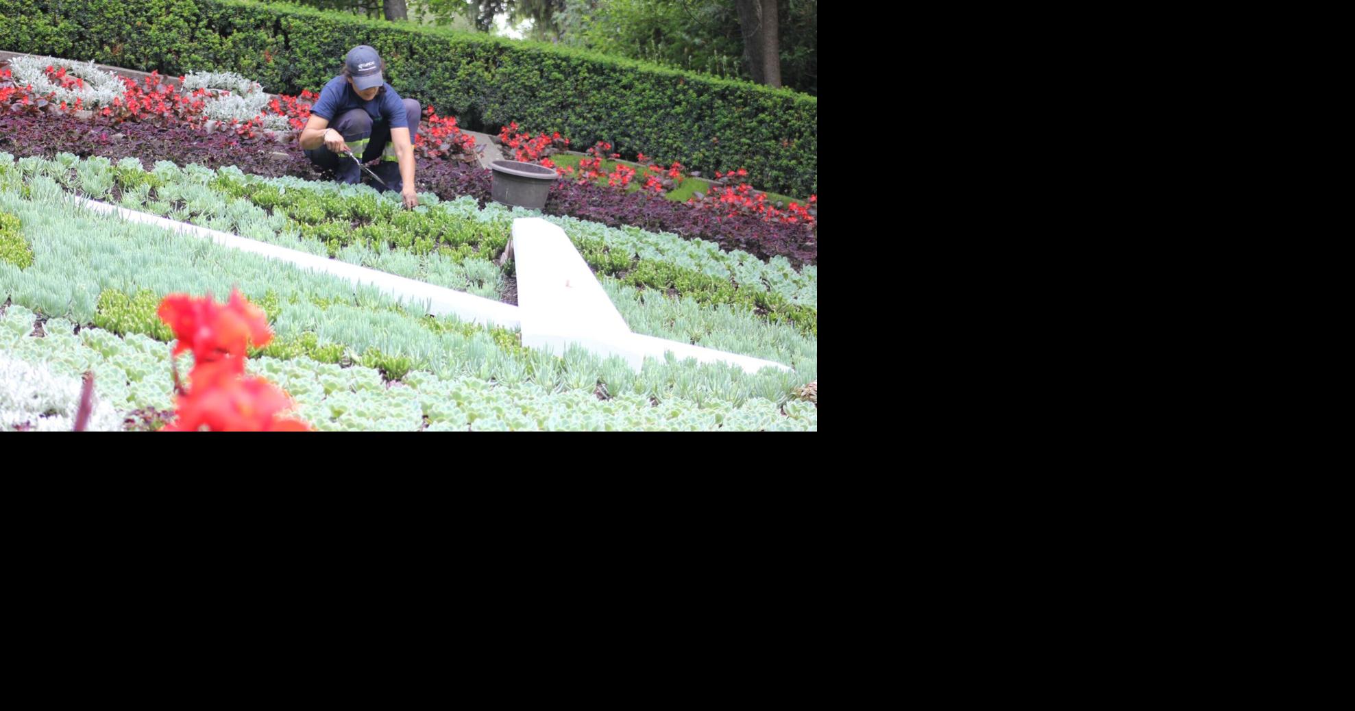 The story behind Guelph's Riverside Park floral clock