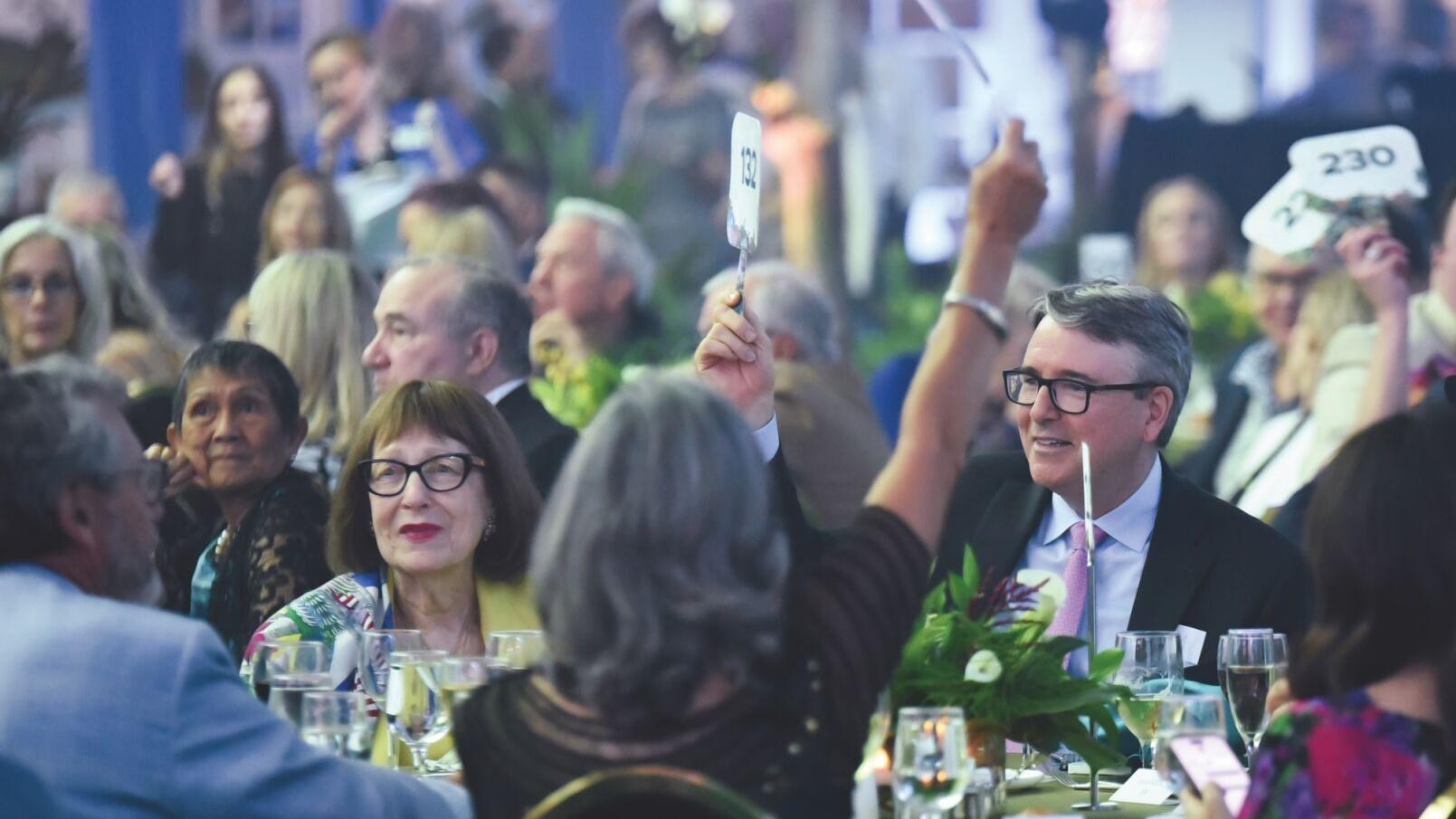 Bidders helped raise $1.7 million at Magic Under the Mangroves 2025 | | gulfshorebusiness.com