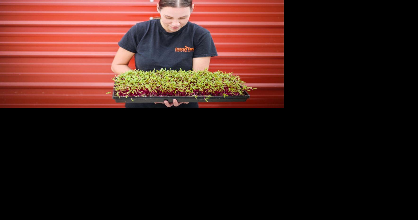 Janelle Francis of Francis Farm turned a hobby into a microgreens ...