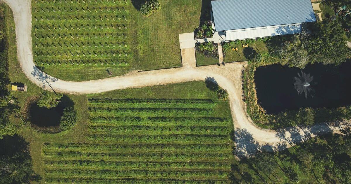 Rad Winery: Oasis on Corkscrew Road charms new neighbors | Inside the ...