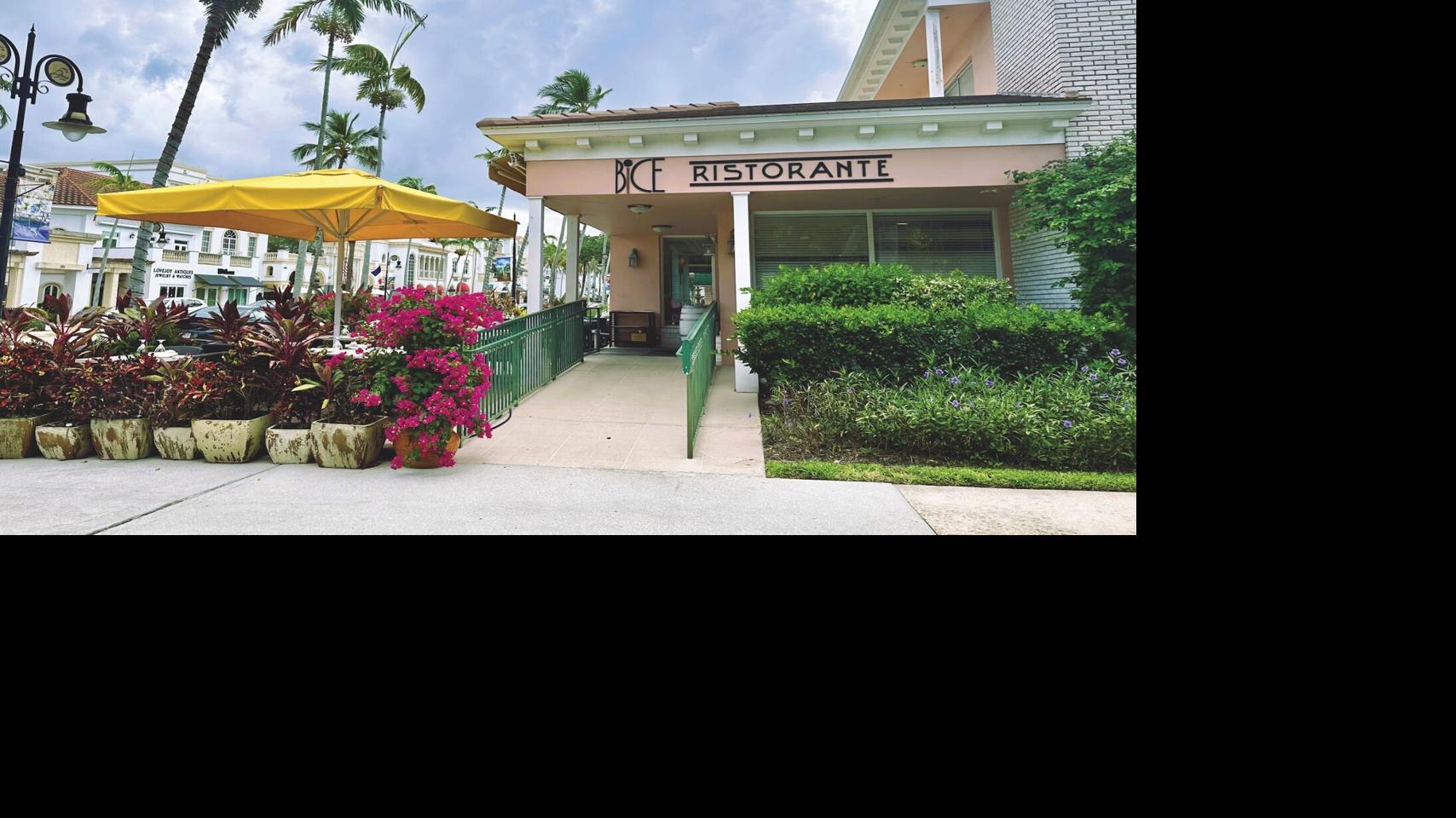 Shake Shack: Transforming Fast-Casual in Naples Area | Hospitality ...