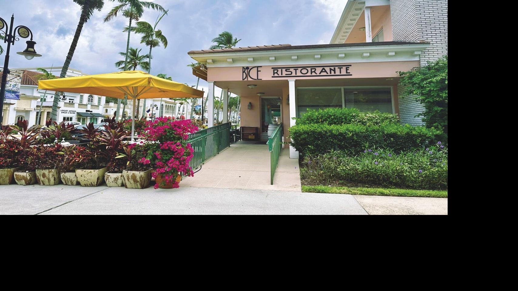 Shake Shack: Transforming Fast-Casual in Naples Area | Hospitality ...