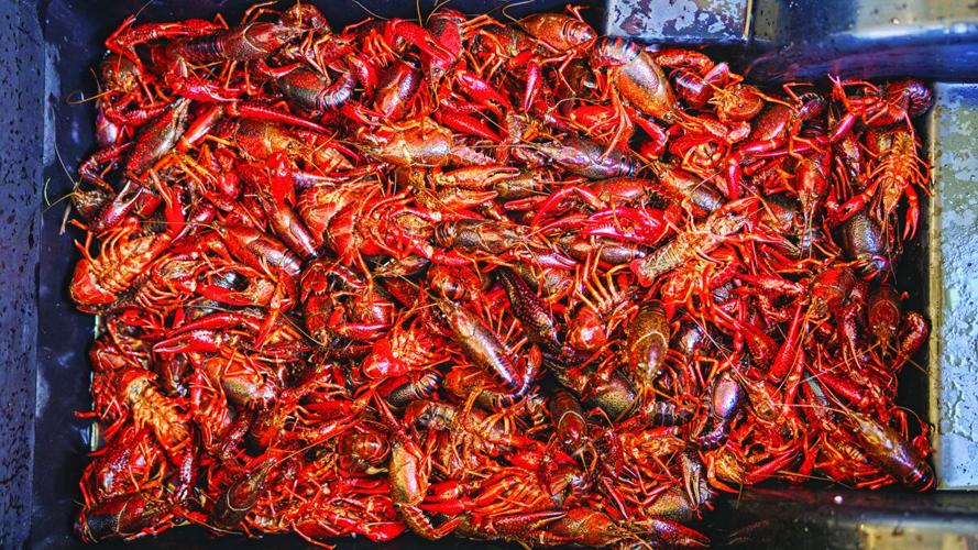 Chef Melissa Donahue’s guide to a perfect crawfish boil | Inside the ...