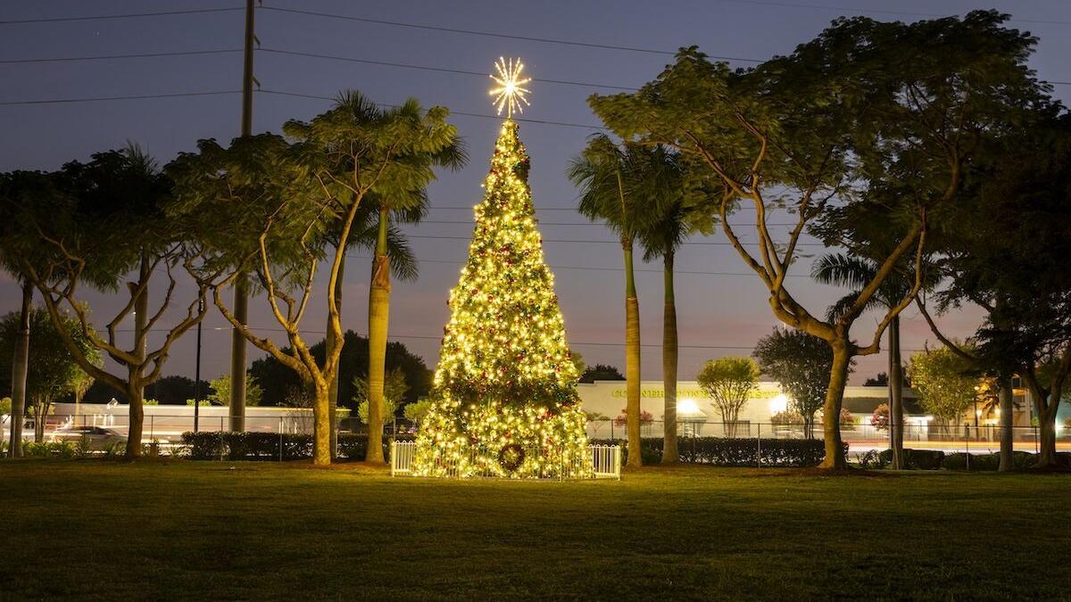Discover Roberto Clemente Park's brand new playground | Lee County ...