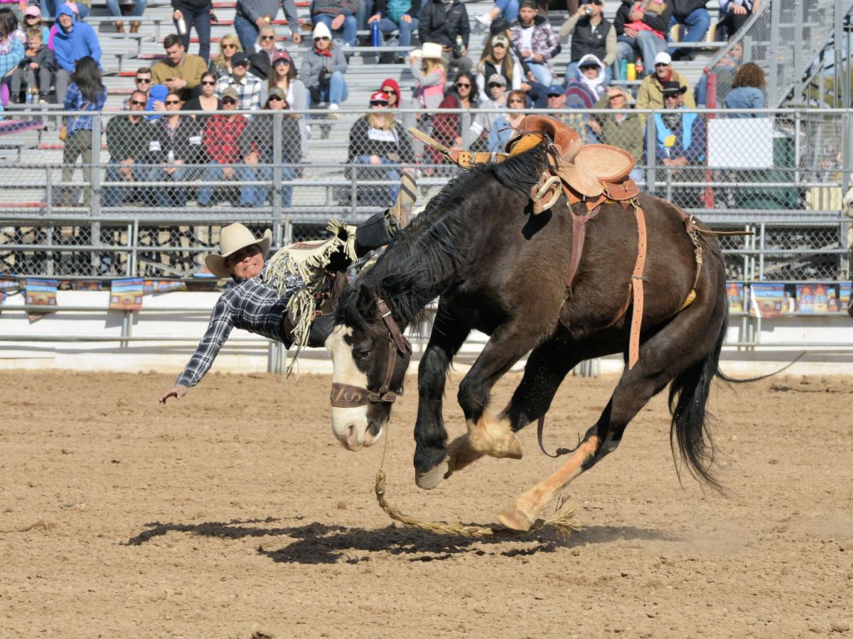 GALLERY: TUCSON RODEO 2019 | Gallery | gvnews.com