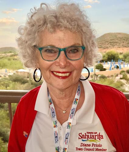 Q&A: Sahuarita Town Council candidates | Local News Stories | gvnews.com