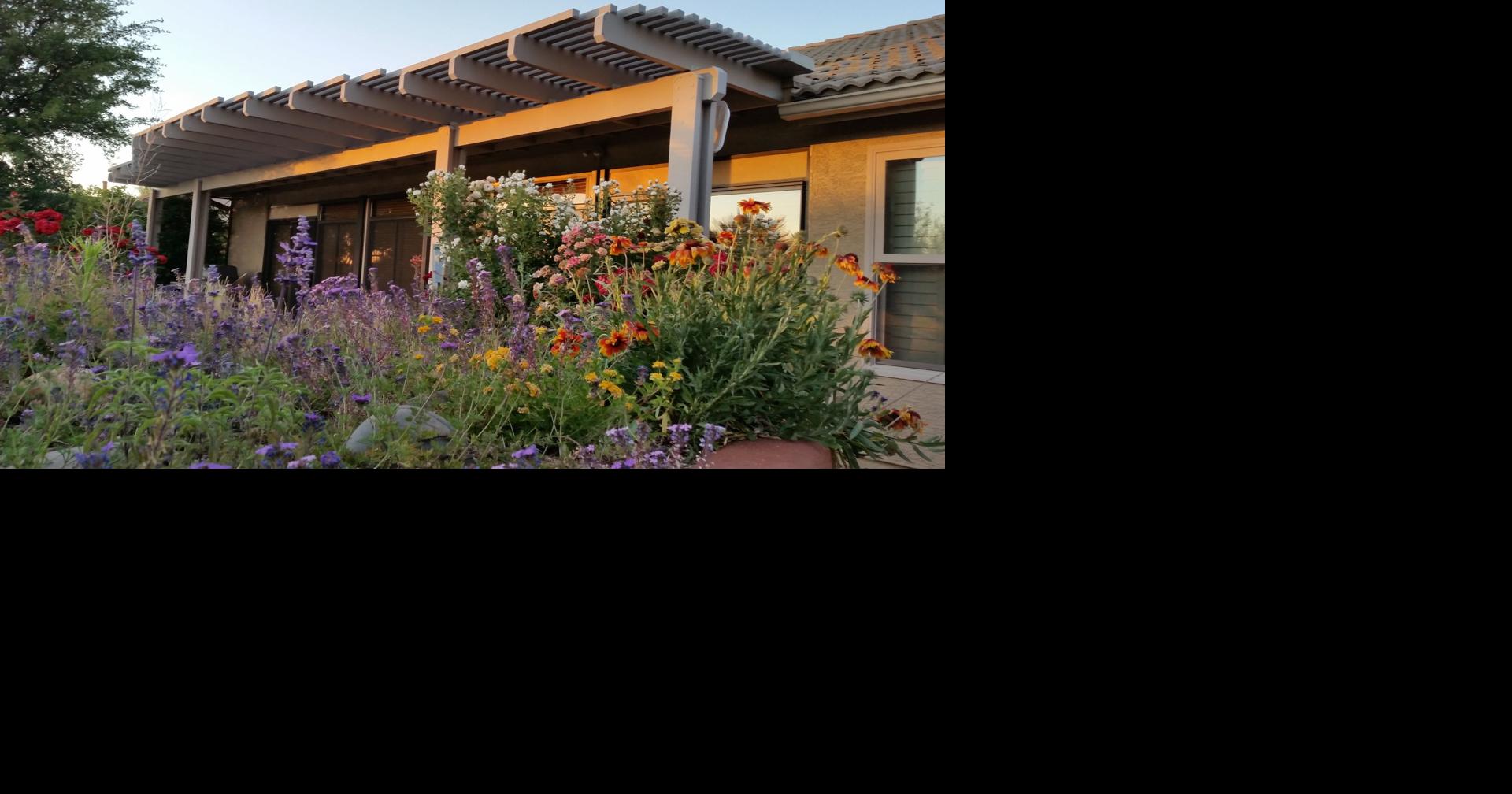 RAMADA RENAISSANCE: Shade, shape & style | Get Out | gvnews.com