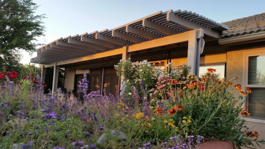 RAMADA RENAISSANCE: Shade, shape & style | Get Out | gvnews.com