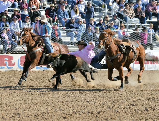 GALLERY: TUCSON RODEO 2019 | Gallery | gvnews.com