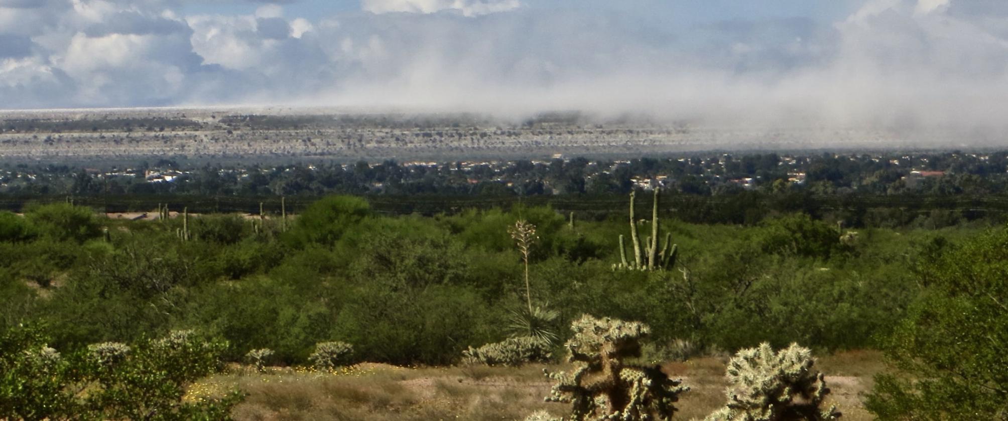 Freeport faces new tailings dust charge | Local News Stories | gvnews.com