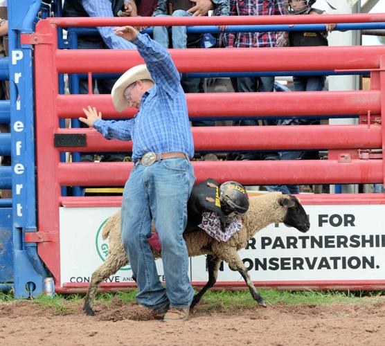 2022 Sonoita Labor Day Rodeo | Gallery | gvnews.com