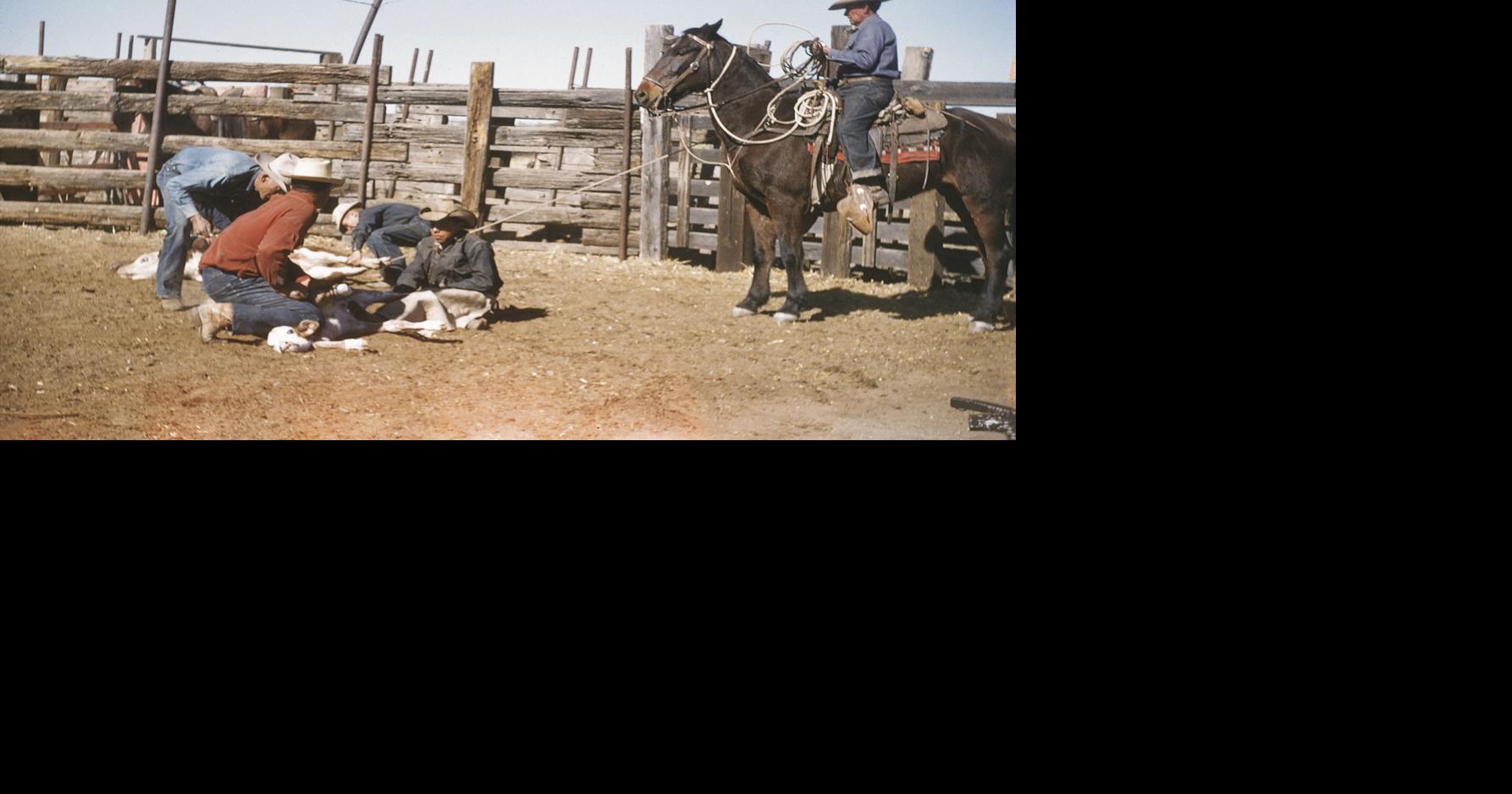 Thumbs up! Families tell the stories of Historic Canoa Ranch | Local ...