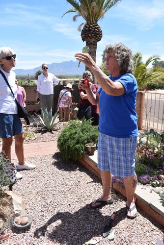 Green Valley Garden Tour 2024 | Gallery | gvnews.com