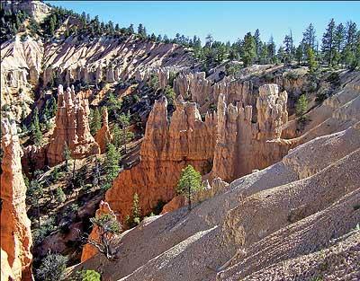 Bryce is nice | Local News Stories | gvnews.com