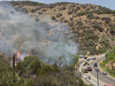 Fire grows near Bisbee | Local News Stories | gvnews.com