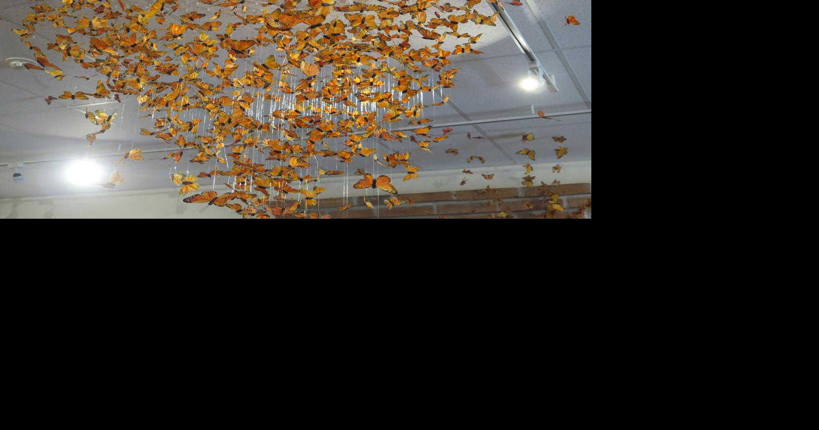 Monarch butterfly exhibit lands at TCA | Get Out | gvnews.com