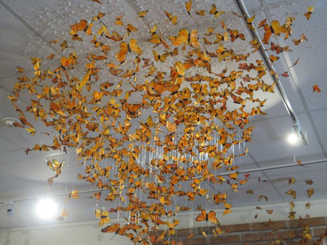 Monarch butterfly exhibit lands at TCA | Get Out | gvnews.com
