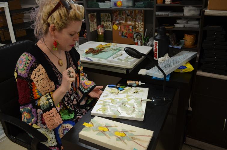 Bugs to order: Local insect supplier feeds hobbies, art | Local News ...