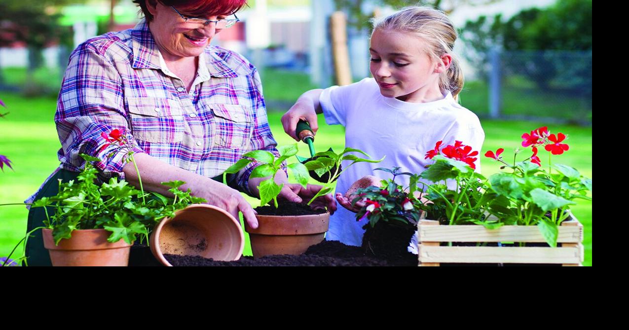 Low maintenance landscape features | | gvnews.com