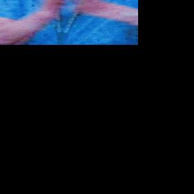 JANET K. BODE | Archives | gvnews.com