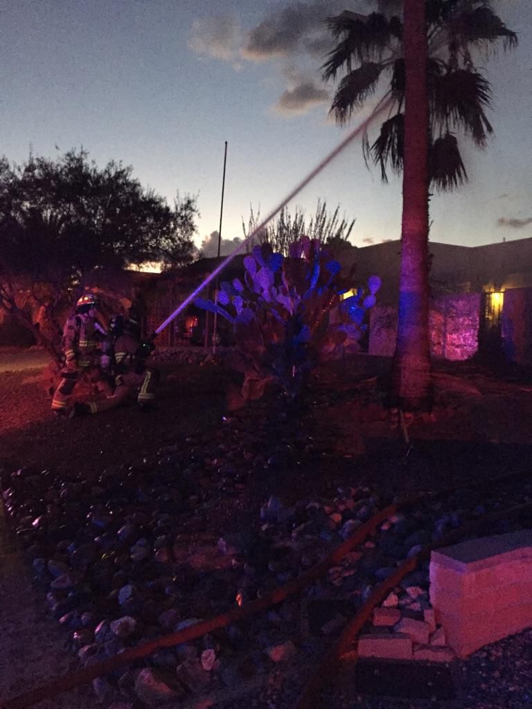 Lightning sets palm tree on fire | Local News Stories | gvnews.com