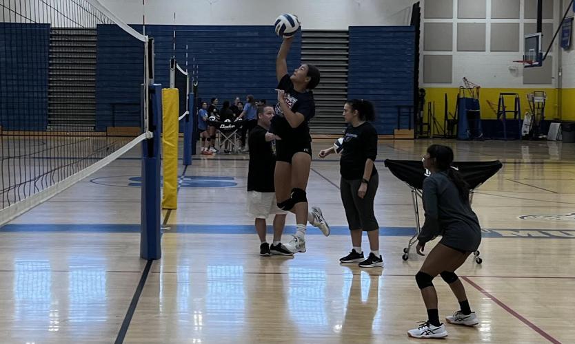 Third-year coach anchors SHS volleyball | Local News Stories | gvnews.com