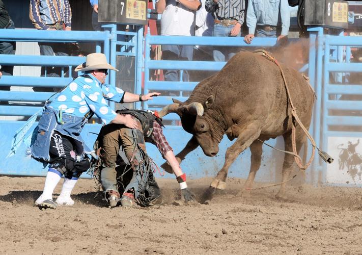 Tucson Rodeo 2022 | Gallery | gvnews.com