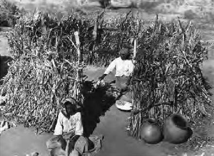 IN THE SONORAN DESERT: Historical look at landscape & people | Get Out ...