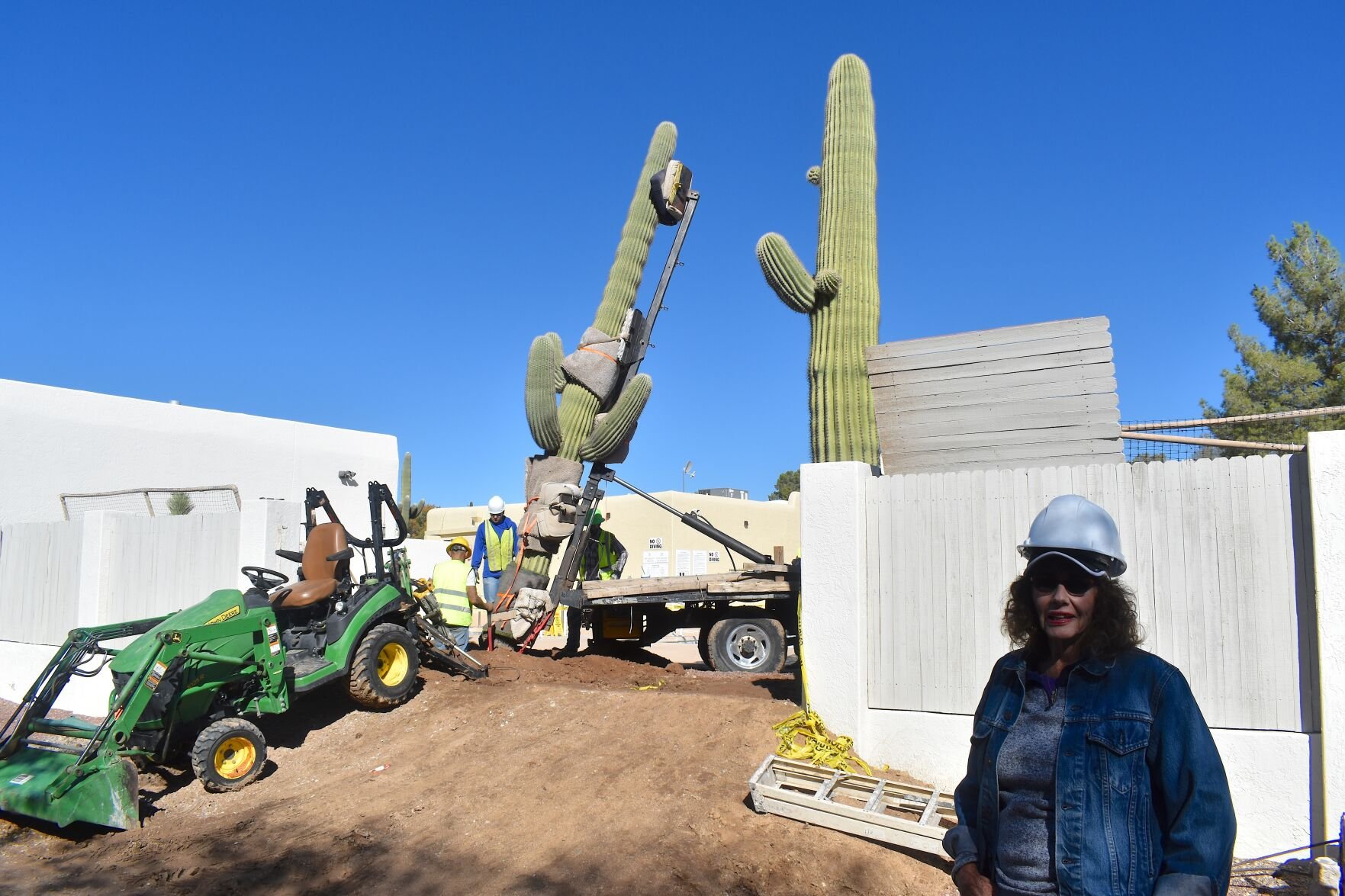 A new home: GVR brings in crew to relocate saguaros | Local News ...