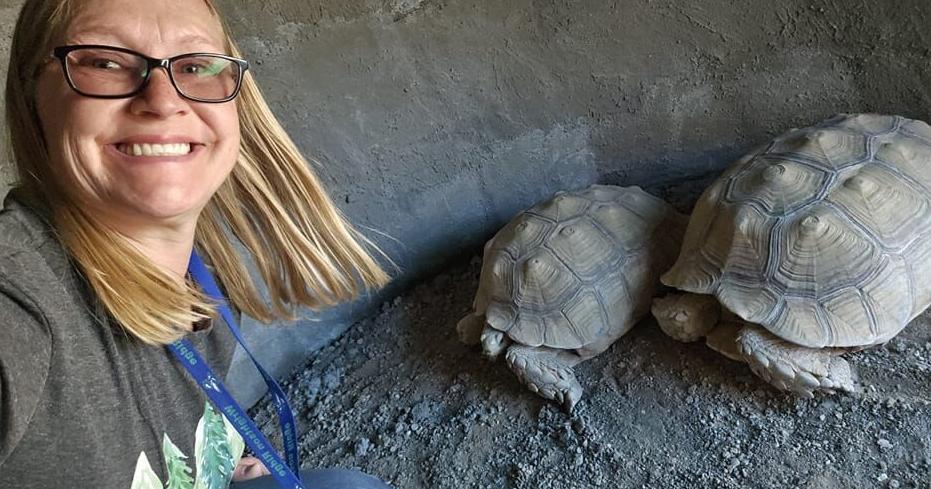 Volunteers come through with new shelter for Wrightson Ridge tortoises ...