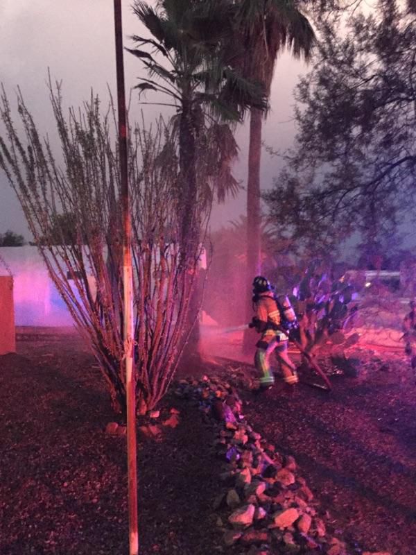 Lightning sets palm tree on fire | Local News Stories | gvnews.com