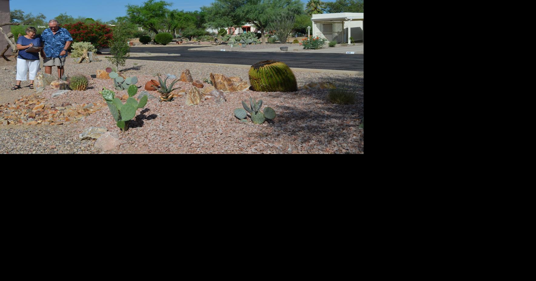 LANDSCAPING RENEWAL Casa Paloma II revegetation success underway | Get ...