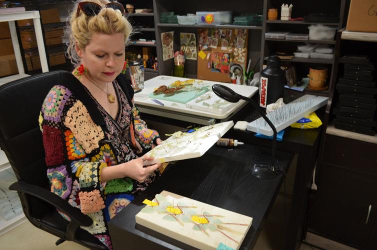 Bugs to order: Local insect supplier feeds hobbies, art | Local News ...