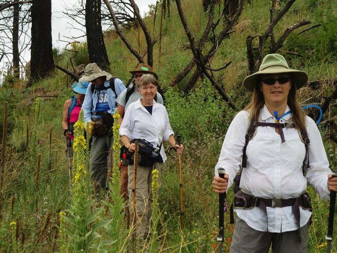 GREAT HIKES: Barfoot Lookout | Local sports | gvnews.com